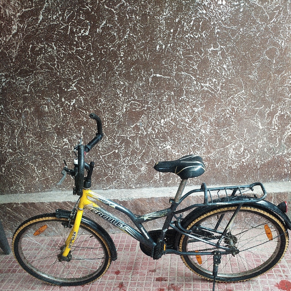 Hercules Cycle Sparx